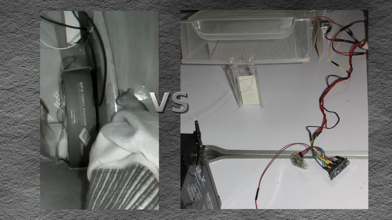 To Catch Some Mice Part 5 - Paranoid Mouse vs The MPZ IR Sentinel Mouse ...