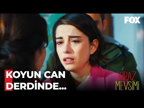 Ayaz, Öykü'yü Bırakıp Gitti - Kiraz Mevsimi 22. Bölüm