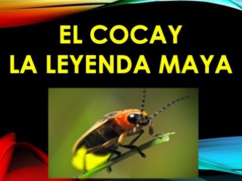 EL COCAY - LA LEYENDA MAYA. - YouTube