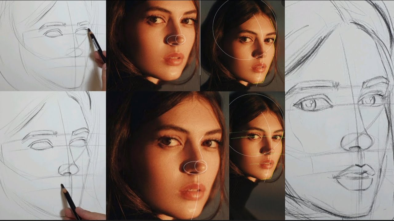 Proportion of a face in drawing / How to sketch face / loomis - YouTube