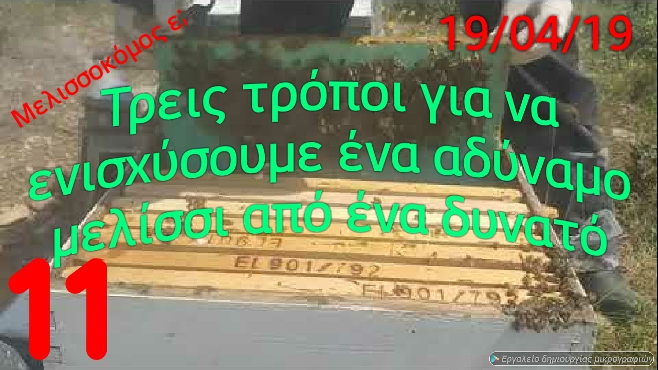 Τρεις τρόποι για να ενισχύσουμε ένα αδύναμο μελίσσι από ένα δυνατό ...