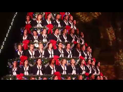 Amazing Choir singing in Tree formation - YouTube