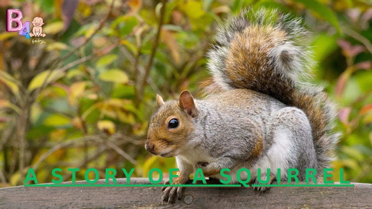 THE SQUIRREL Stories For Kids In English |English Stories| English ...