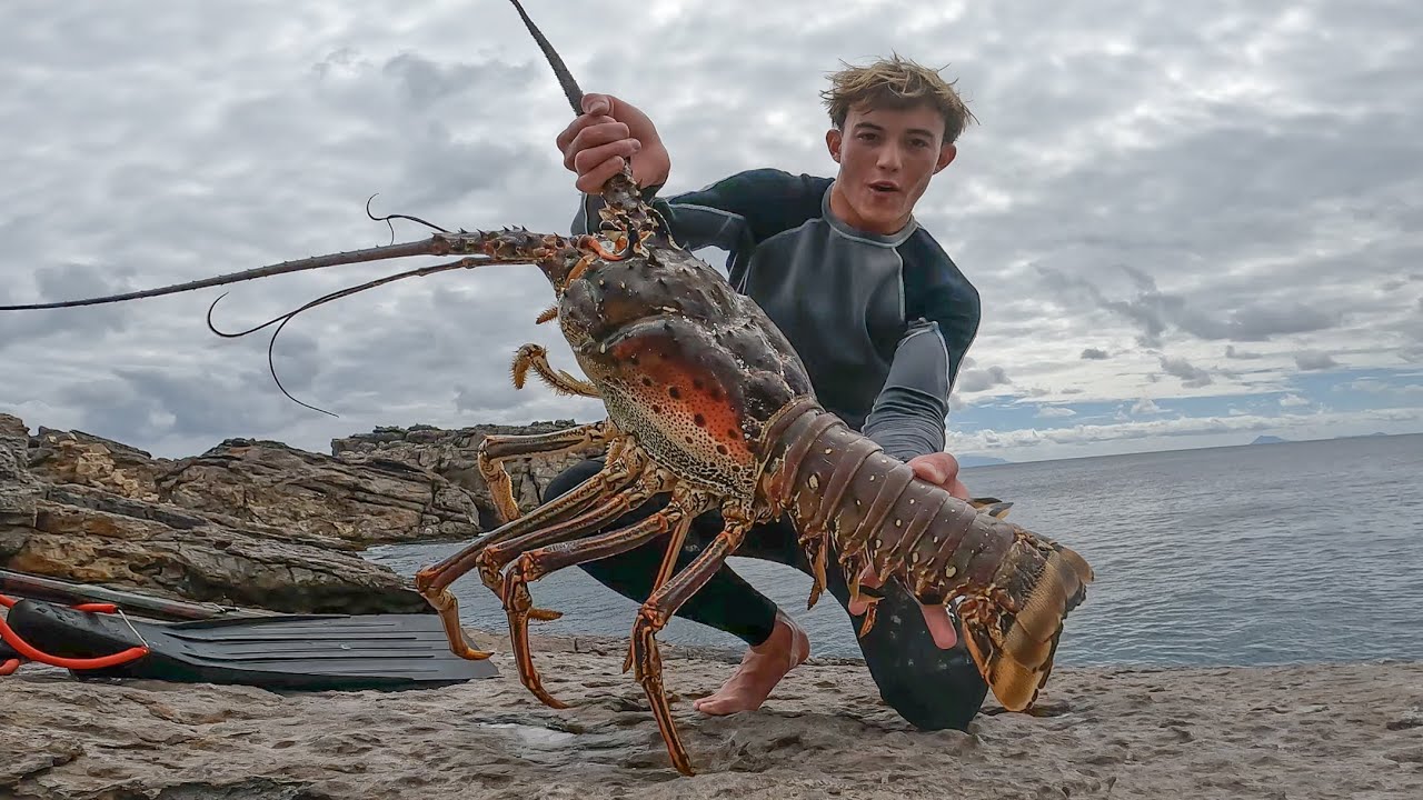 This Island Has the BIGGEST Lobsters We've Seen - Catch and Cook - YouTube