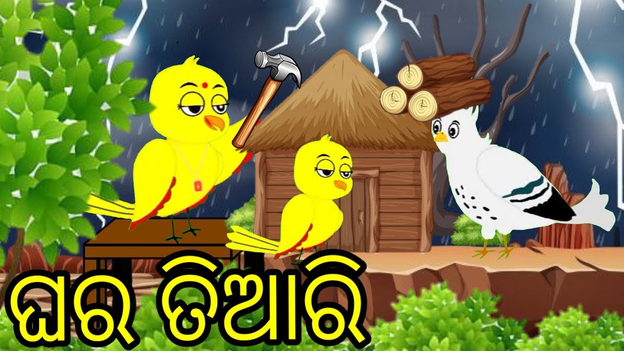 ଘର ତିଆରି|Ghara Tiwari|Tuni Chidiyan|Tiki Chadhei Gapa|Odia Birds Story ...