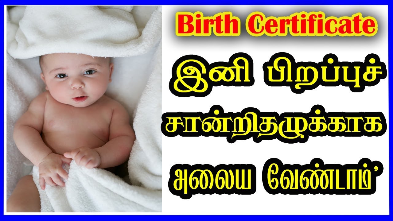 Birth Certificate In birth-certificate-in