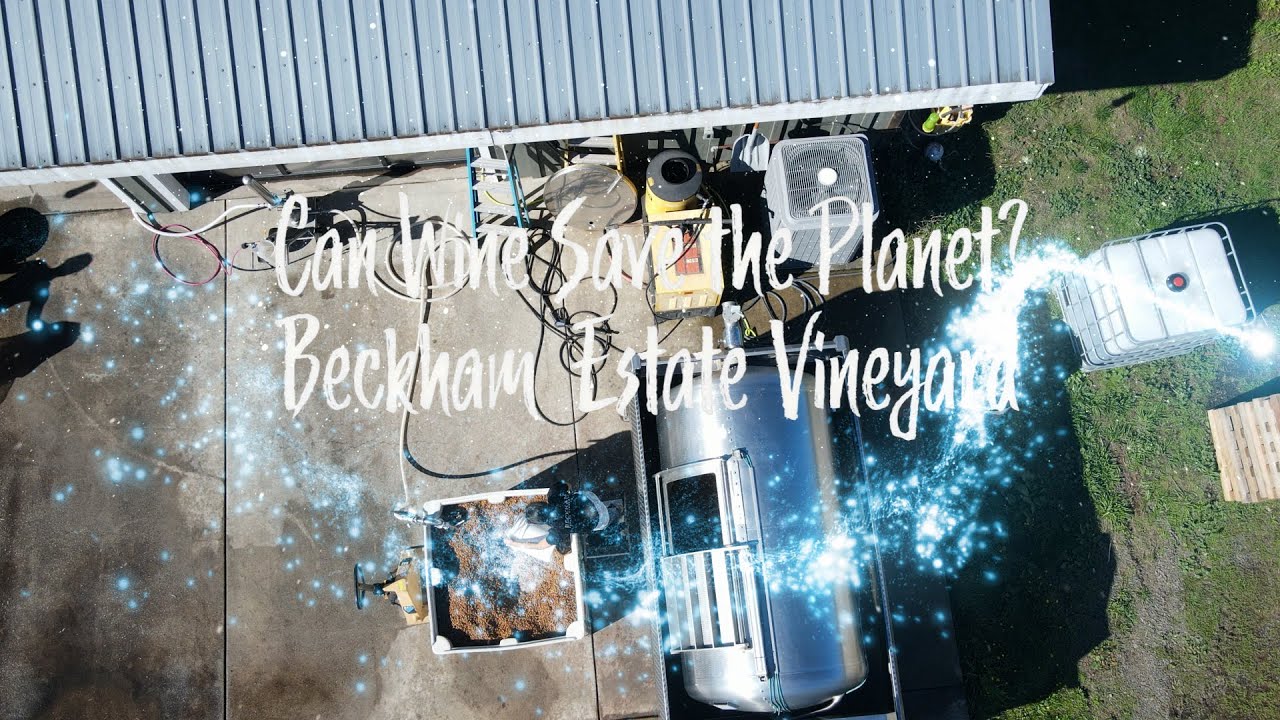 Discover Future Wines at Beckham Estate Vineyard - YouTube