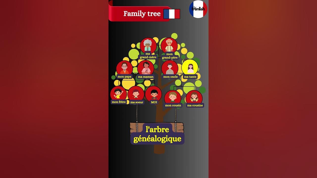 Fascinating French Family Tree Vocabulary - Master La Famille! #Shorts ...