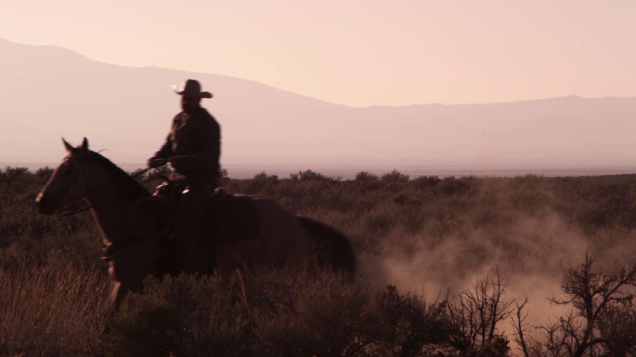 Slow motion shot of a cowboy riding from camera right across the frame ...