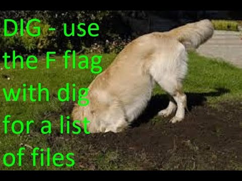 DIG - Use the F flag for a group of requests #dig #dns #file - YouTube