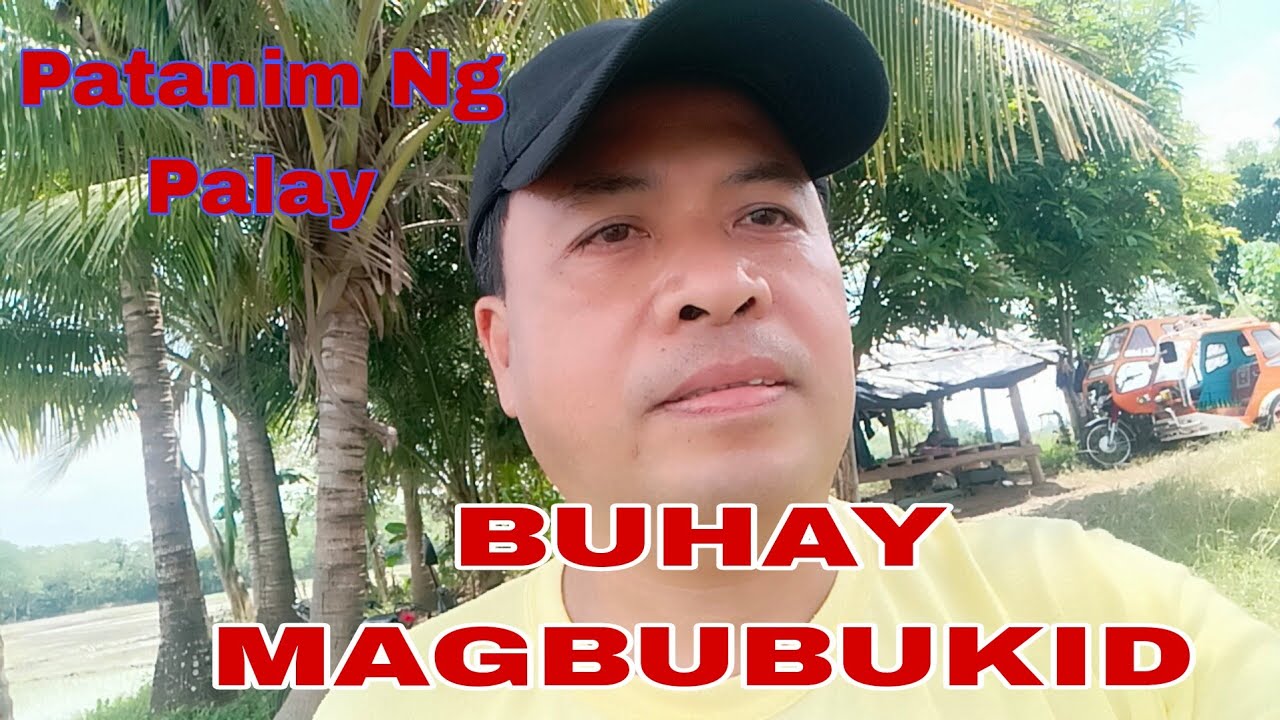 Buhay Magbubukid Patanim ng Palay Ngayong September 19, 2022 Tayo Na sa ...