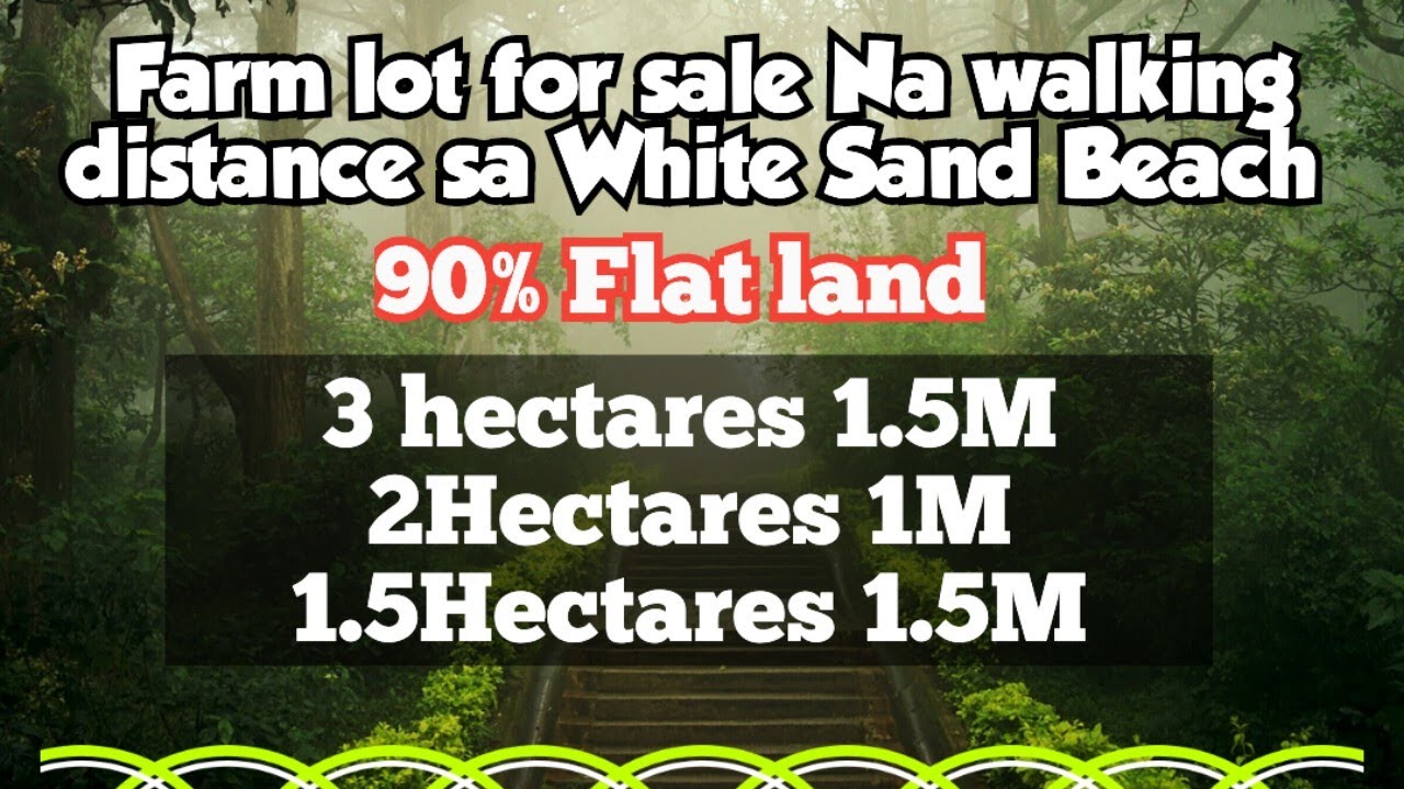 V#162🥰 Farm lot for sale! 2 Hectares for 1M.. 3 hectares for 1.5M & 1.5 ...