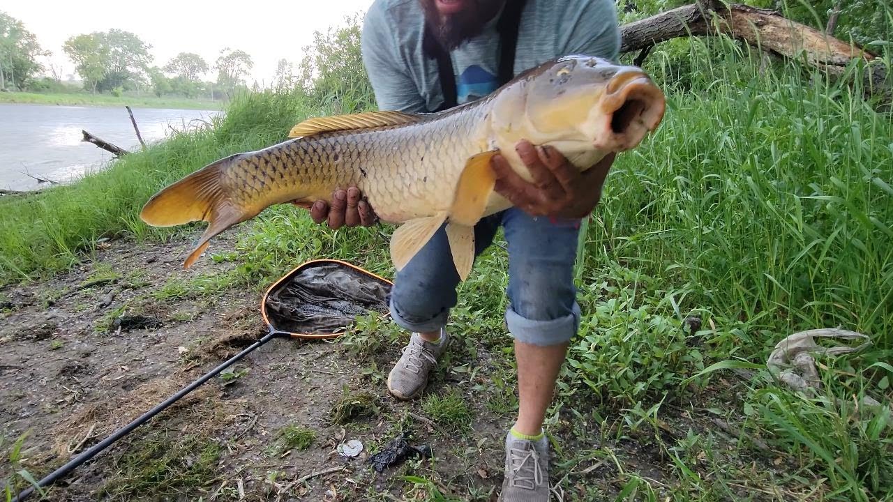 Grandiosa pesca de carpa / HERMOSO PIQUE pico la mas GRANDE - YouTube