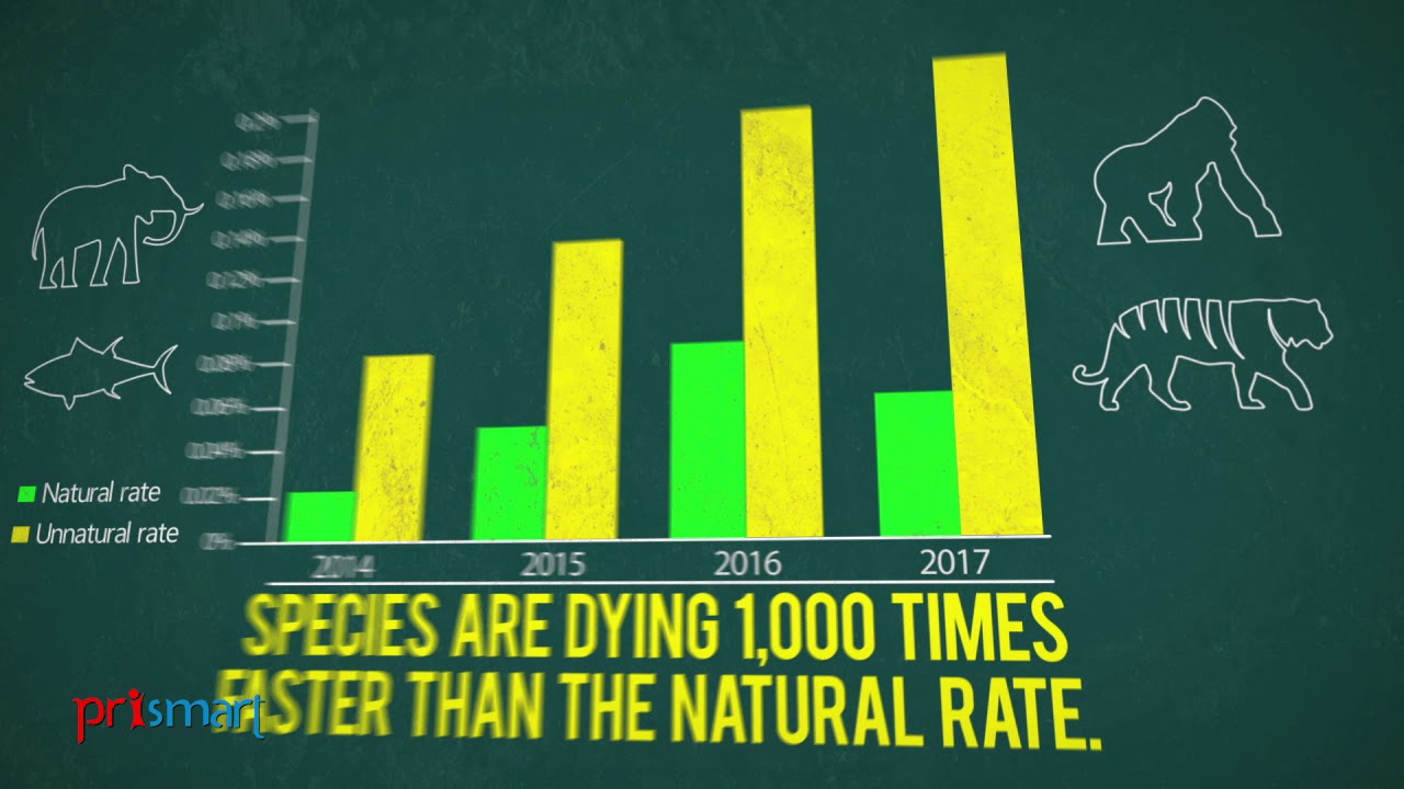 GOING GREEN | Saving Planet Earth - The 3R Solution | Saving Planet ...