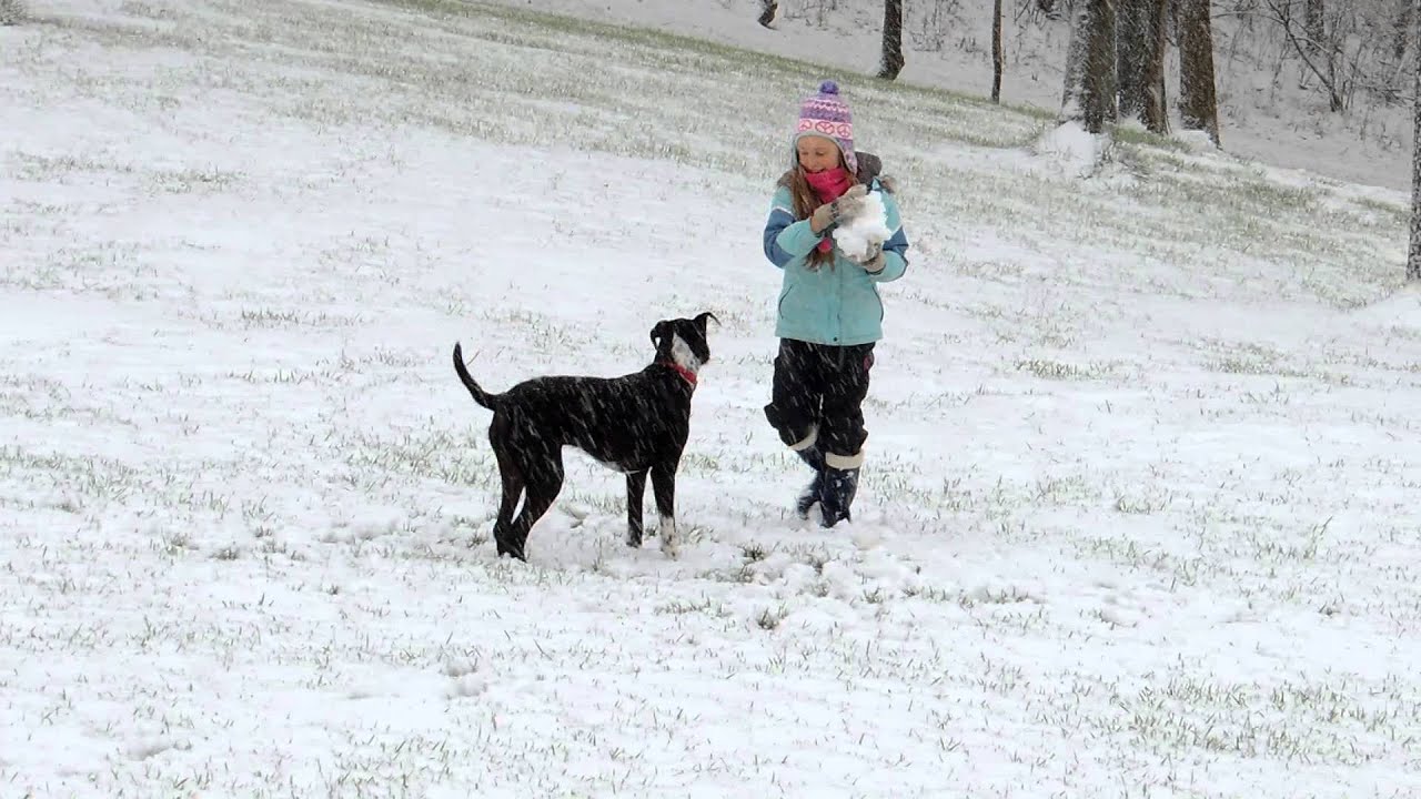 Playing in the Snow - YouTube