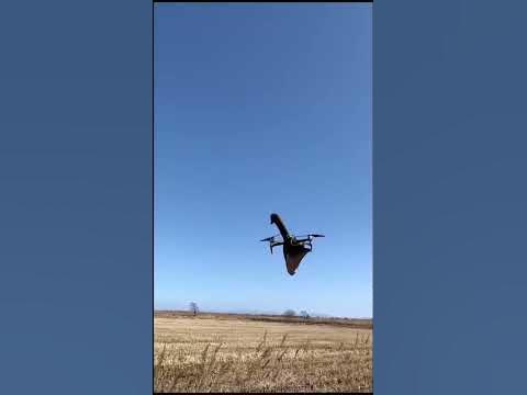 Летающий гусь #hunting #охота #природа - YouTube