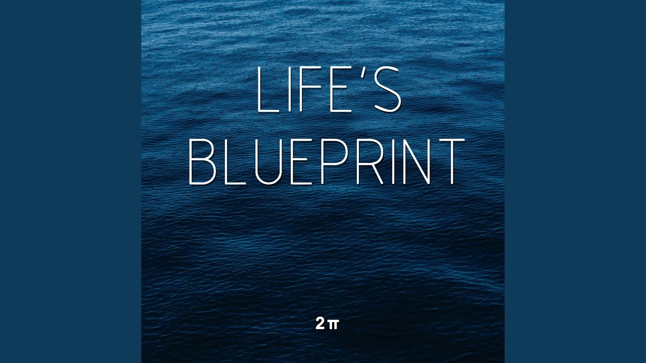 Life s Blueprint YouTube life-s-blueprint-youtube