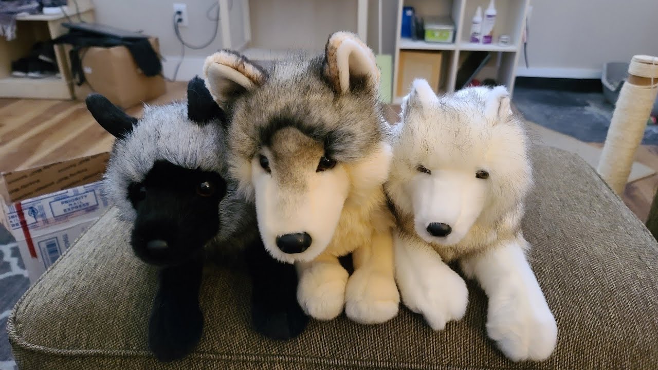 Unboxing Aurora my Porter Arctic Fox Plush by Douglas and a surprise ...