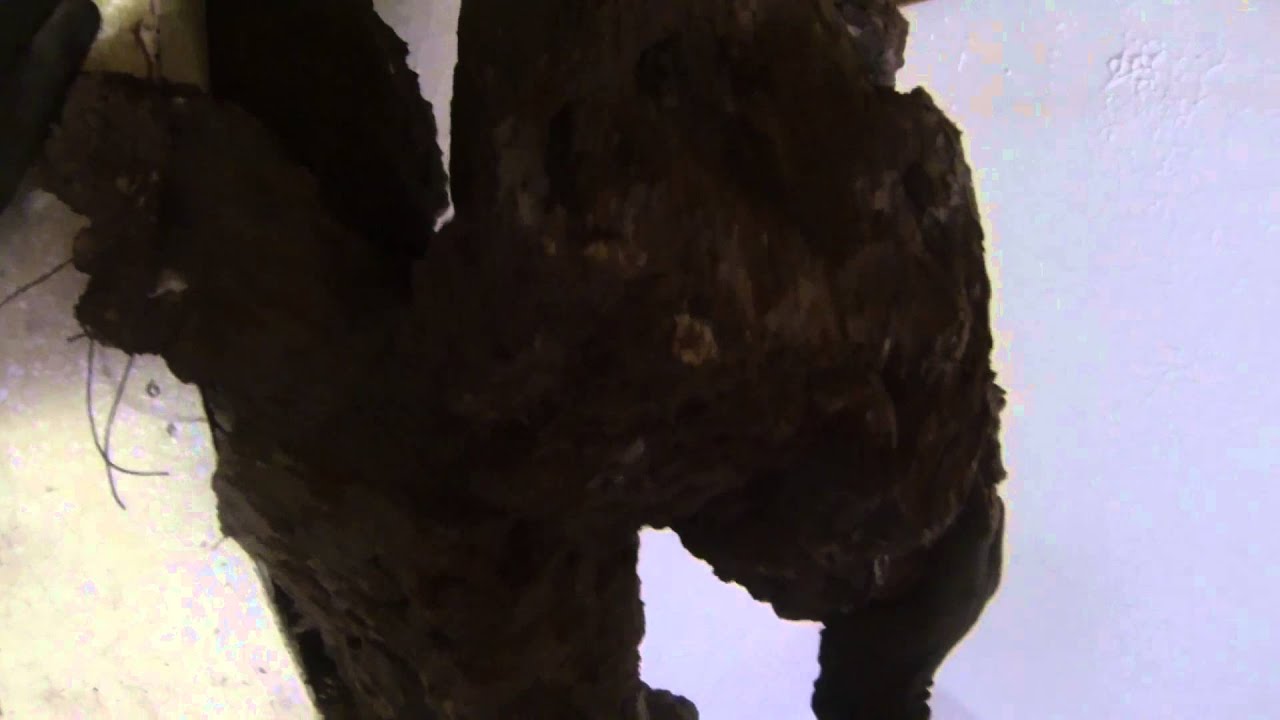 Bigler Construction lava rock removal - YouTube