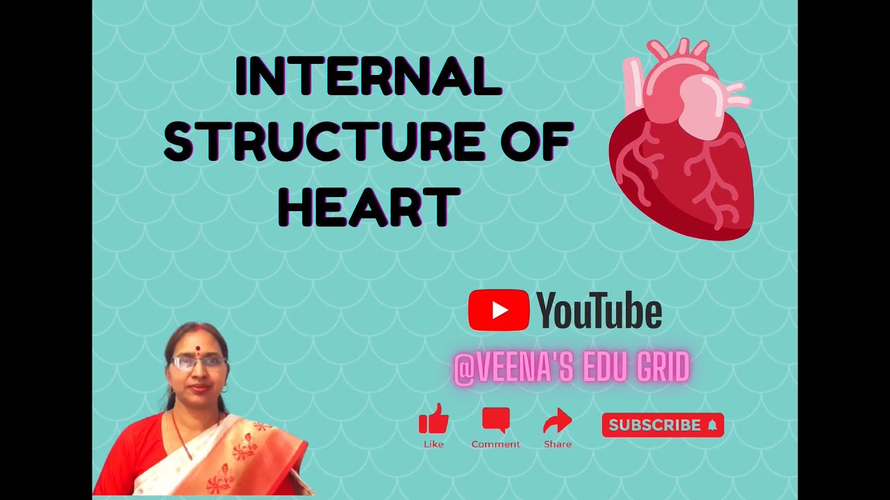 HOW DOES HEART PUMP THE BLOOD | SSC | BIOLOGY |CLASS 10 - YouTube
