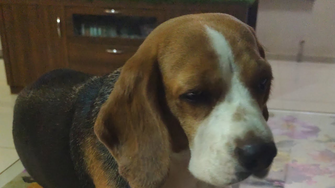 Jasmin Bhatt is live hello frds आजाओ ️ - YouTube