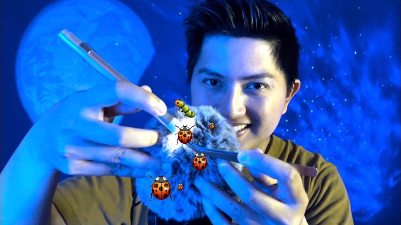 ASMR Bugs🐞For Relaxing and Sleep Fast - YouTube