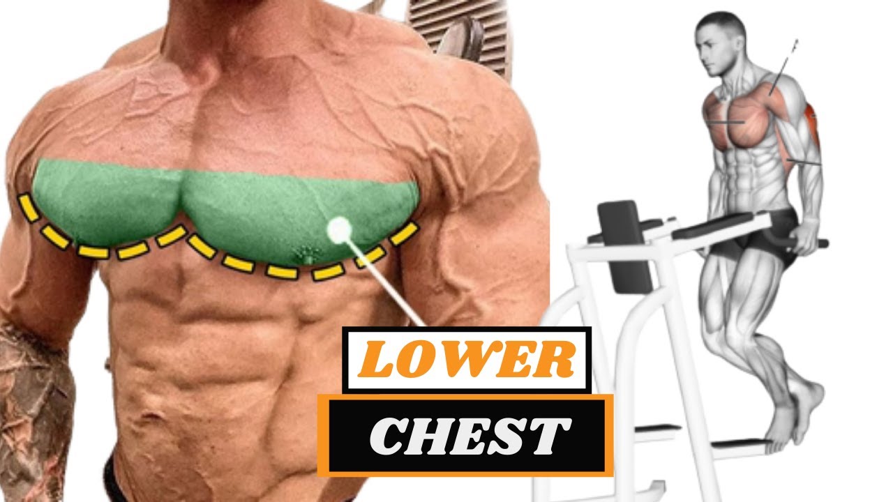 6 Best Exercises For Lower Chest Workout - Lower Chest Workout ...
