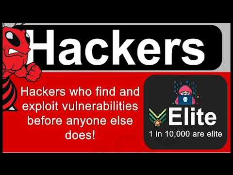 Exploring the Hacker Hierarchy: From Elite to Script Kiddie - YouTube