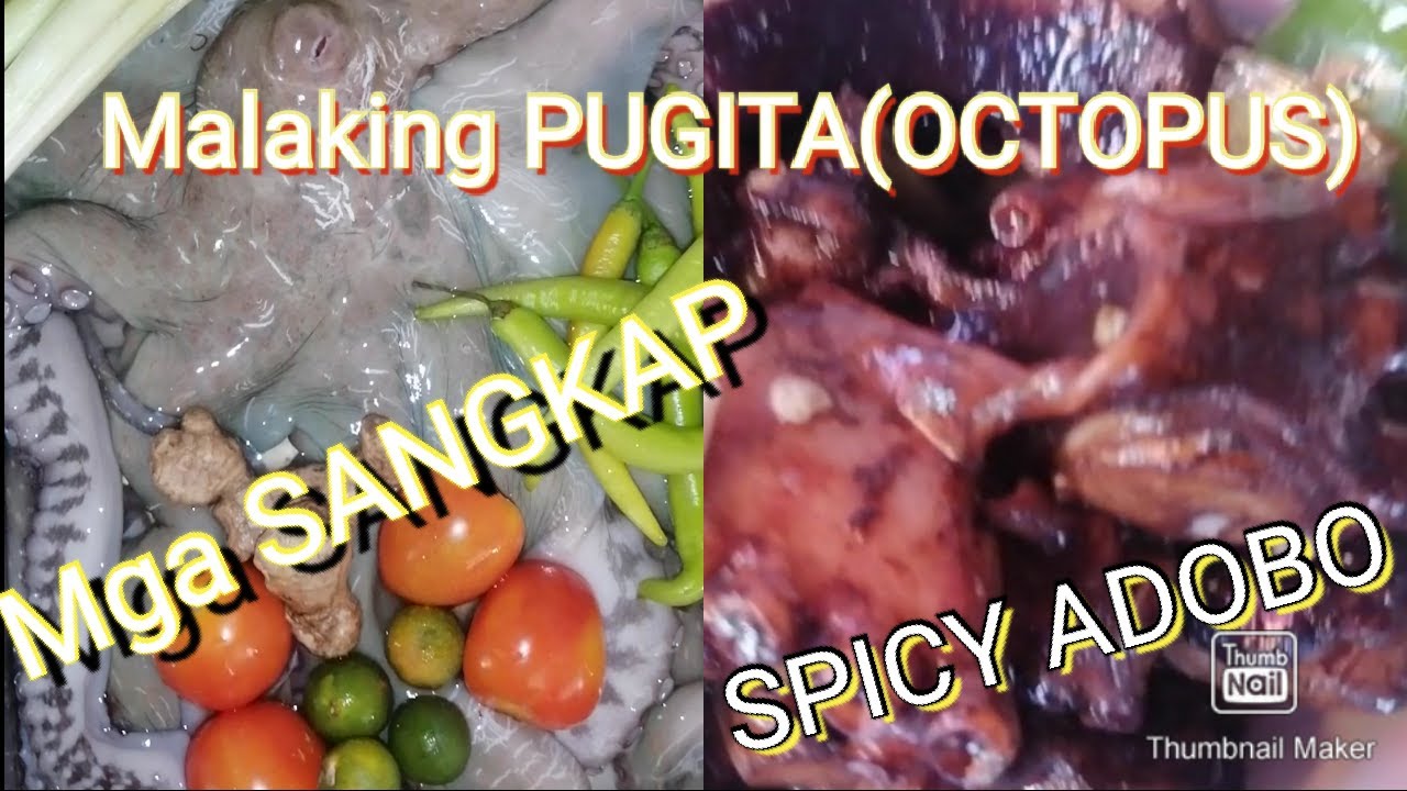 MALAKING PUGITA(OCTOPUS) | GINAWANG RECIPE | SPICY ADOBO - YouTube