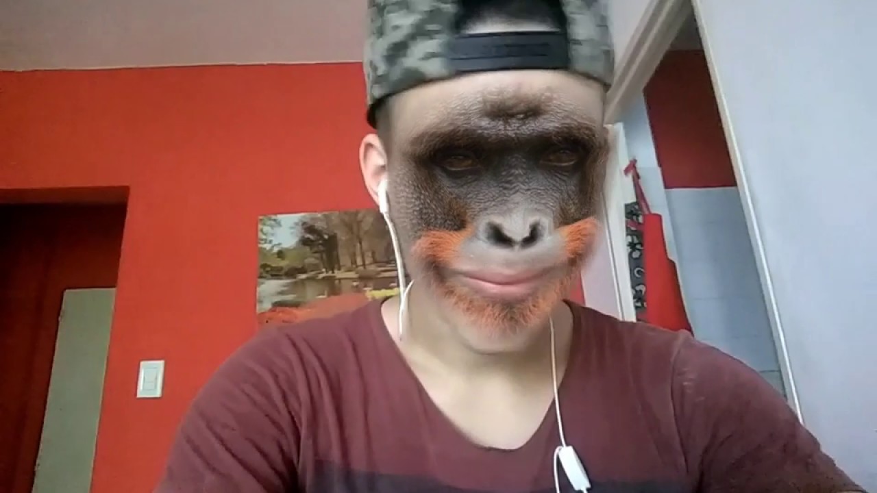 Simio no mata a simio / planeta de los simios!!! - YouTube