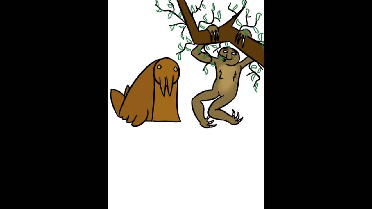 SPECIAL: Walrus and Sloth, suggested by Brae - YouTube