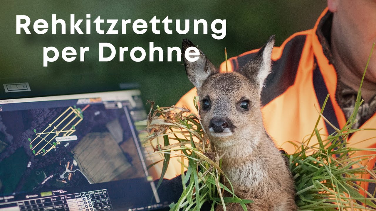 Save the Kitz - Rehkitzrettung aus der Luft per Drohne - YouTube