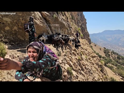 Akram's Goats Went Missing at Night! | A Thrilling Search with Mohsen to Find Them 🐐🌙