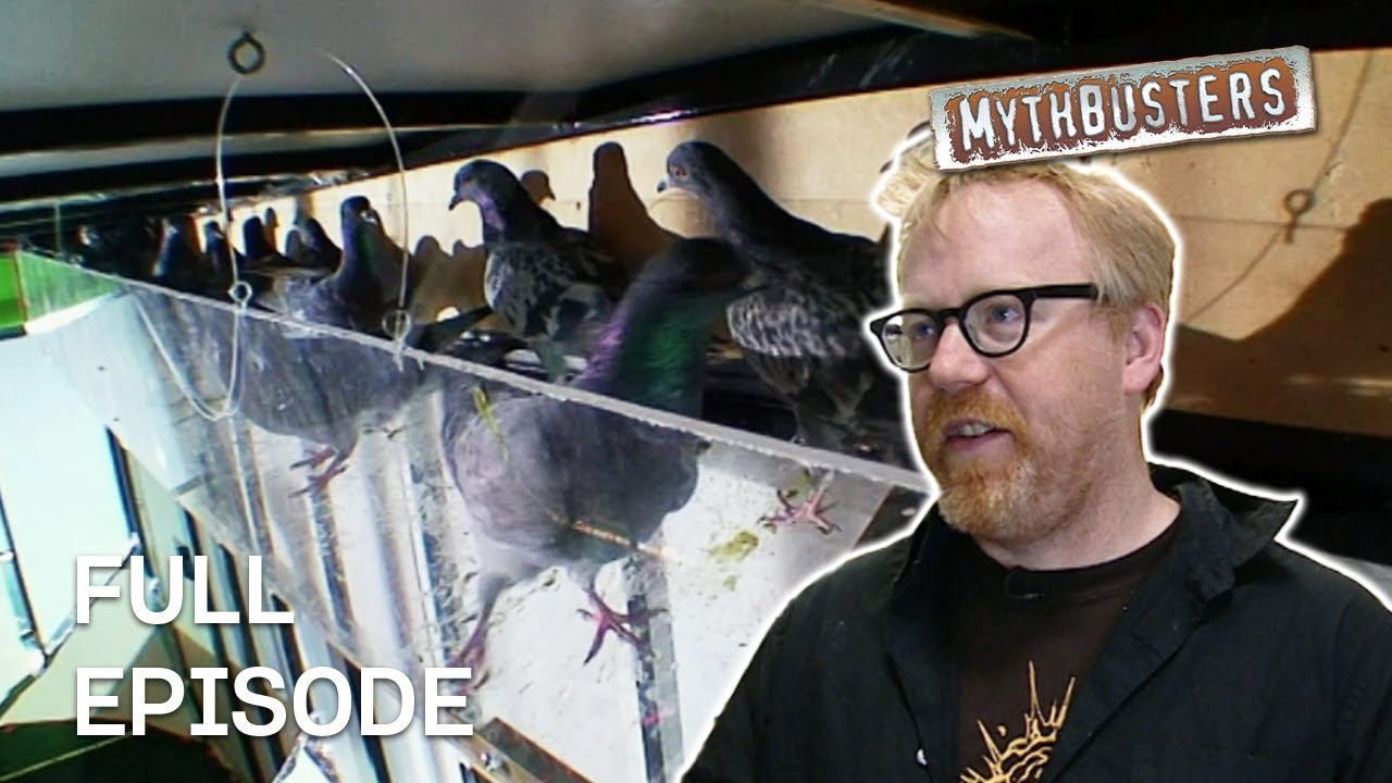 Does a truck weigh more when filled with birds? | MythBusters | S4 E09 ...