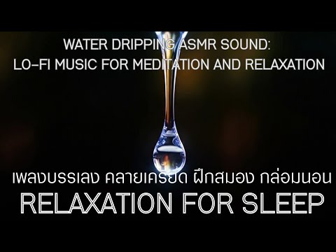 Water Dripping ASMR sound: Lo-Fi music for meditation and relaxation ...