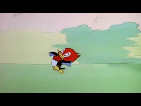Tom and Jerry English Episodes ⭐The Egg and Jerry - Classic Cartoons For Kids
