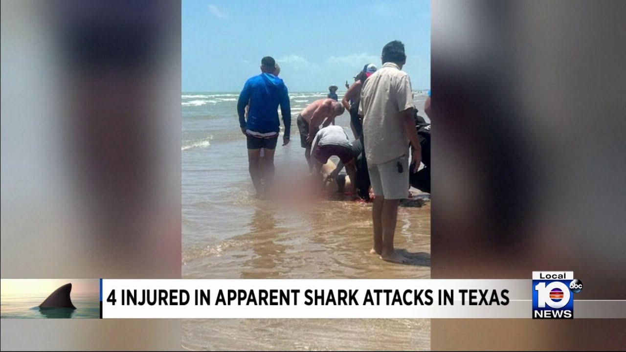 4 injured during shark attacks off Texas - YouTube