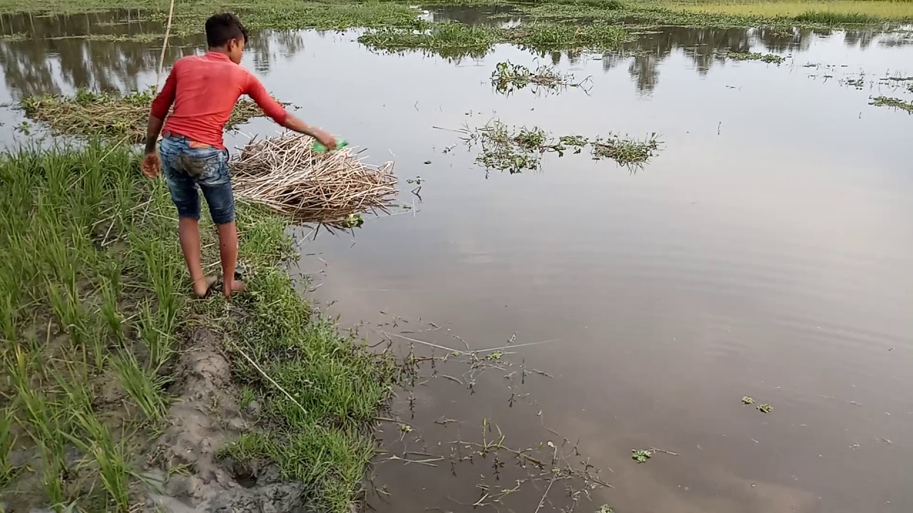 Best hook fish video 2020 !Amazing borshi Catching Fish video। - YouTube