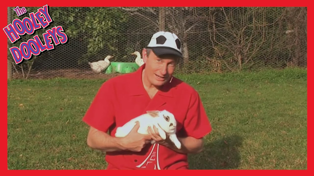 The Hooley Dooleys - Little Bunny - YouTube