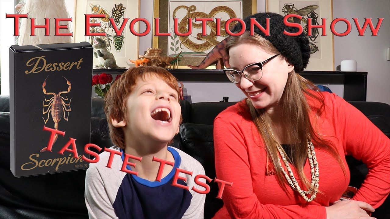 The Evolution Show Ep25 - Insect Candy Taste Test - YouTube