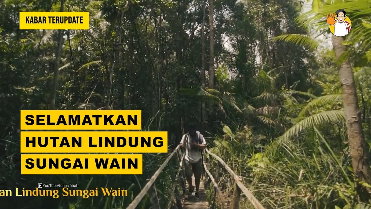 SELAMATKAN HUTAN LINDUNG SUNGAI WAIN [Part 2] | APAHABARMEDIA | KABAR TERUPDATE - YouTube