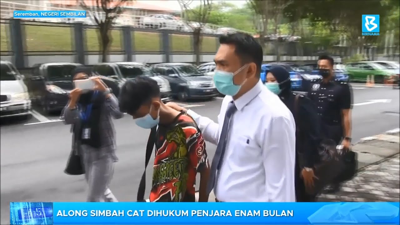 Along simbah cat dihukum 6 bulan penjara - YouTube