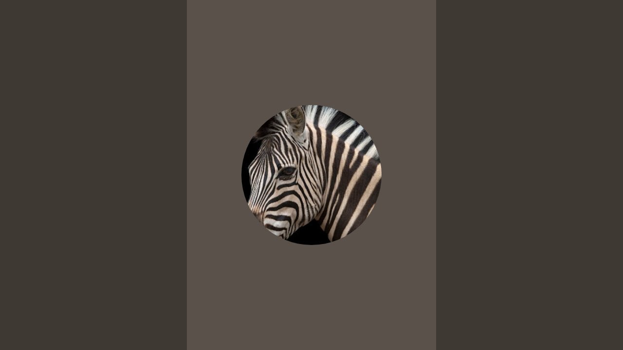 channeled message Intense hatred , envy and OBSESSION, WATCH YOUR BACK ...