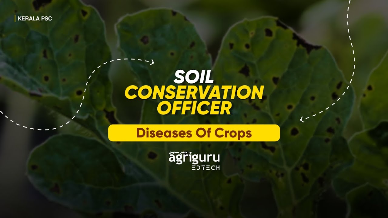 DISEASES OF CROPS | CROP PROTECTION | SOIL CONSERVATION OFFICER ...