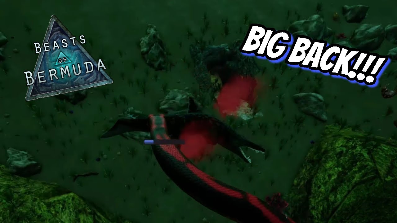 The Tales of the Big Back Aqua Snake!!! - Beasts of Bermuda - YouTube