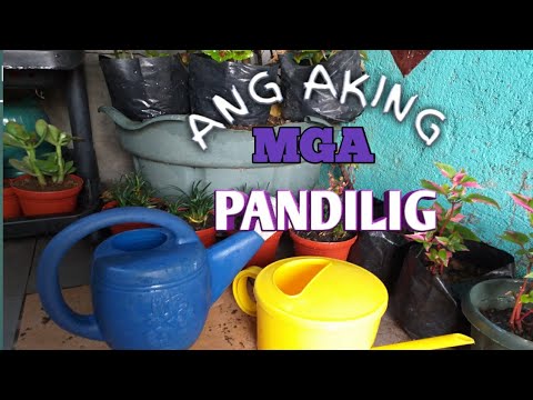 #pandilig #watersprinkle Mga pandilig ko sa aking mga halaman - YouTube