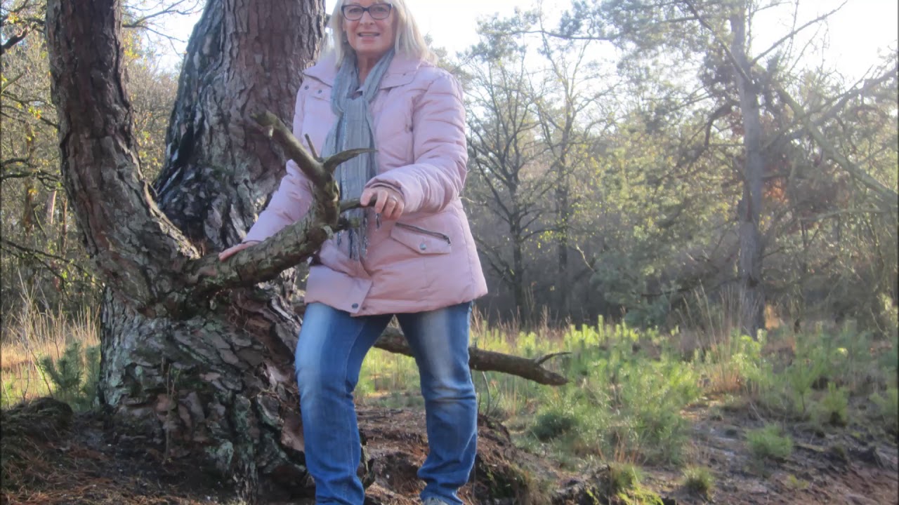 lieder die die liebe schreibt Maria Jaspers - YouTube