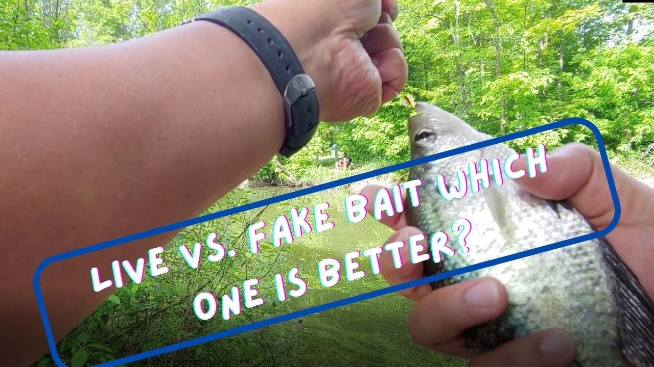 Crappie and Bluegill fishing with the Berkley Gulp Minnows and live ...