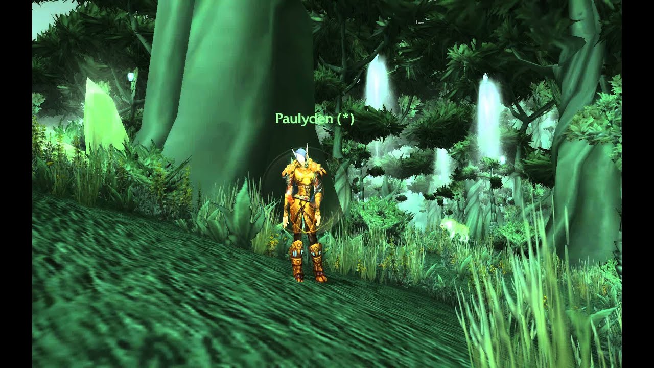 Paladin - Divine Protection - YouTube