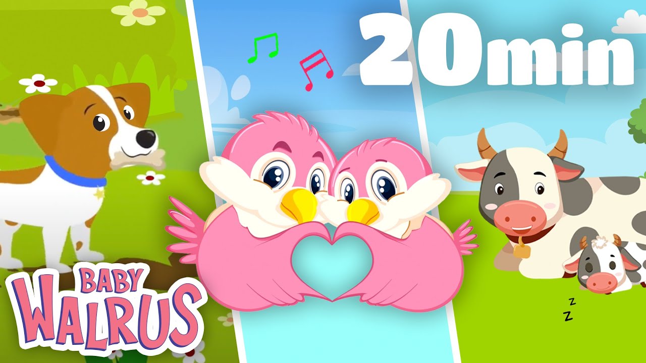 Nove Dje je Pjesmice Hitovi Za Klince Baby Walrus Na Hrvatskom nove-dje-je-pjesmice-hitovi-za-klince-baby-walrus-na-hrvatskom